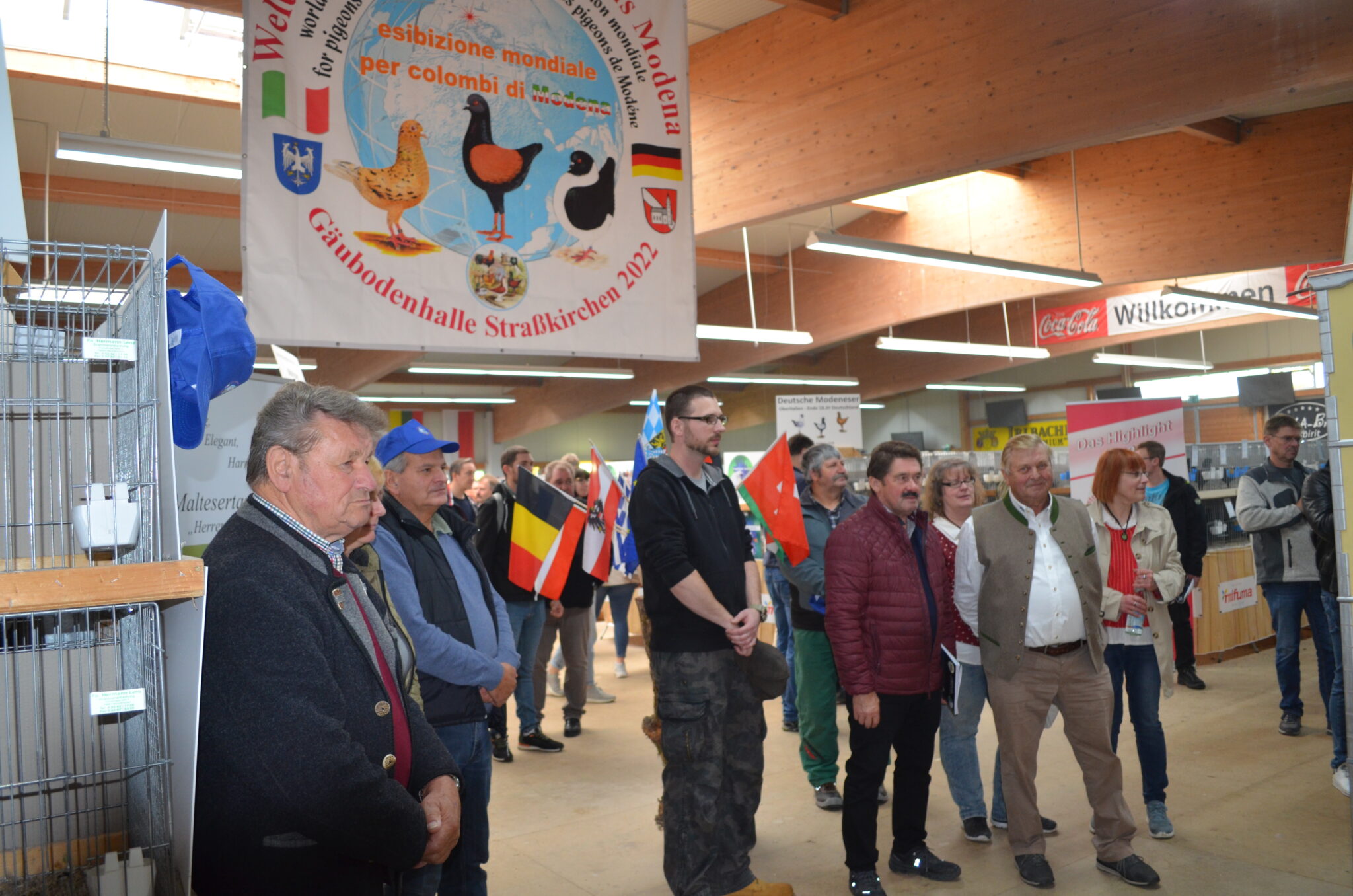 Weltschau der Tauben aus Modena - Straßkirchen - Verband Deutscher ...